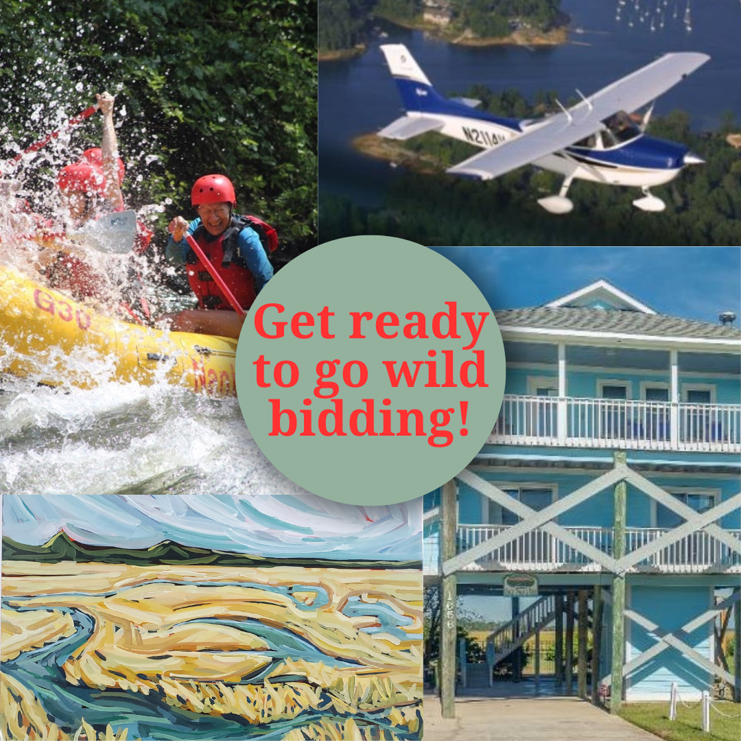 2023 Wild Summer Nights Online Auction - South Carolina Wildlife Federation