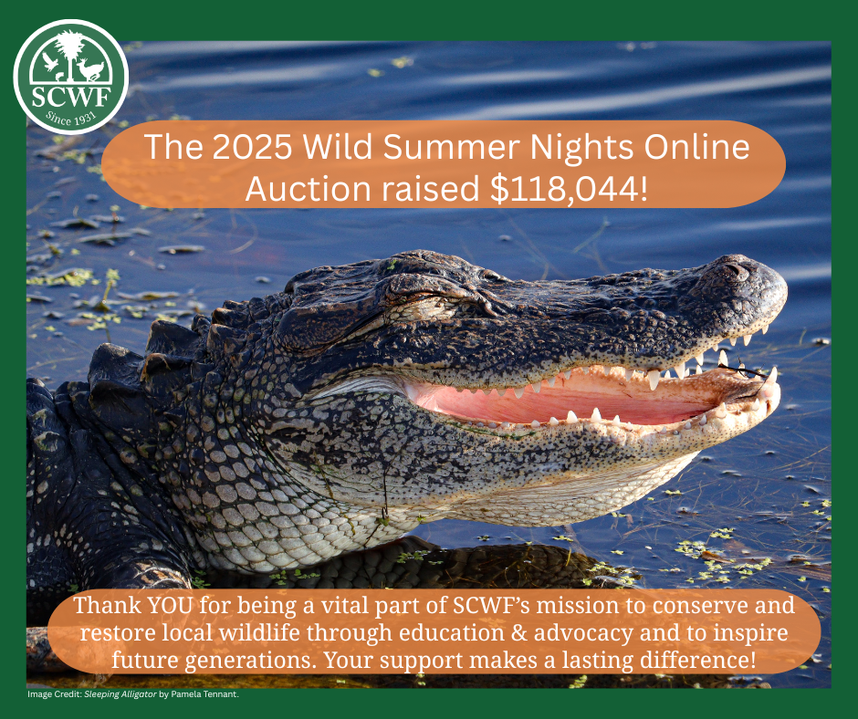 SCWF holds record-breaking auction in support of wildlife conservation ...
